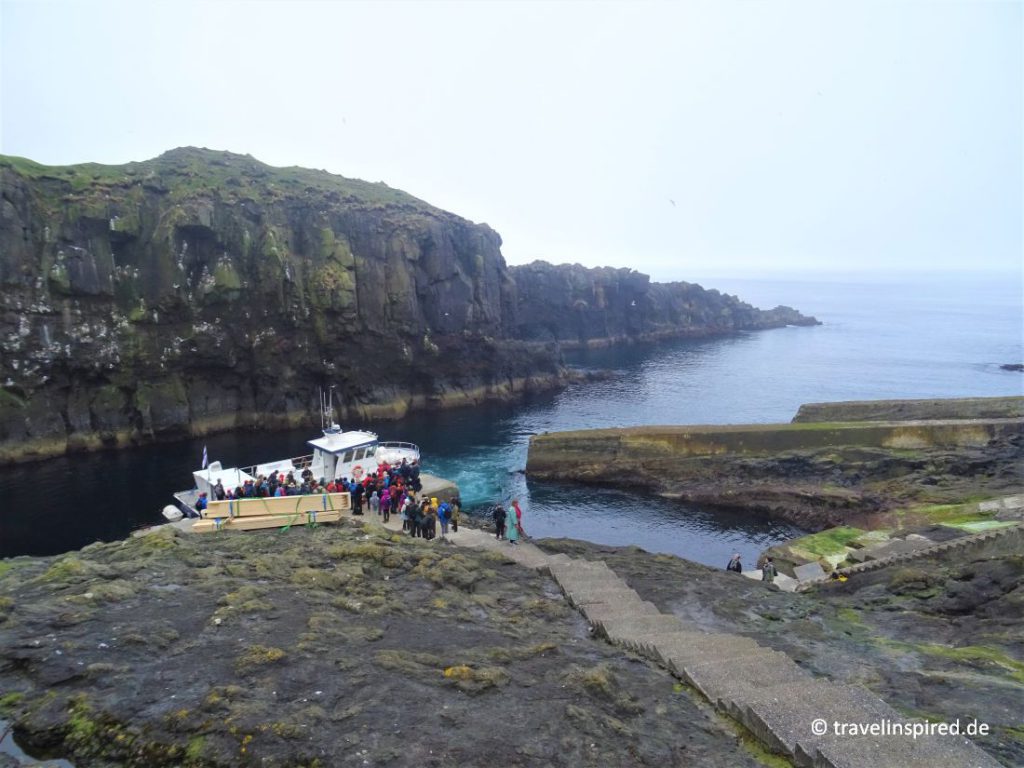 Mykines: Papageitaucher auf den Färöern | Travelinspired