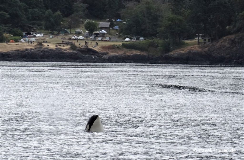 Victoria Kanada: Sehenswürdigkeiten & Ausflüge | Travelinspired