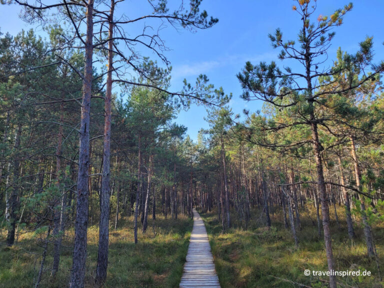 Wandern in Litauen: 13 schöne Touren | Travelinspired